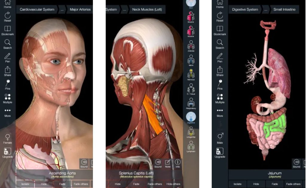 14 Best anatomy apps for Android & iOS - Apppearl - Best mobile apps ...